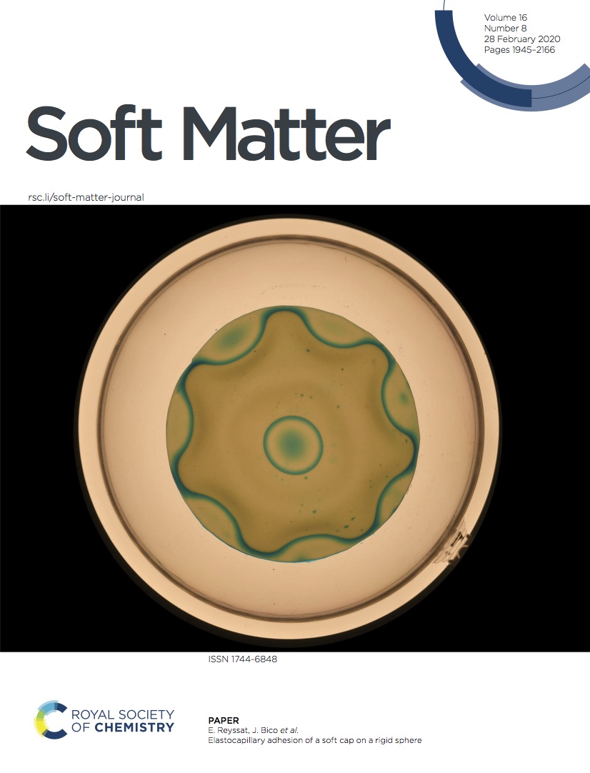 Sticky shells on the cover of Soft Matter – Benoît Roman