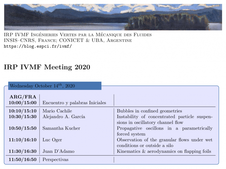 IRP IVMF Online Meeting 2020 | IRP IVMF 2019-2023