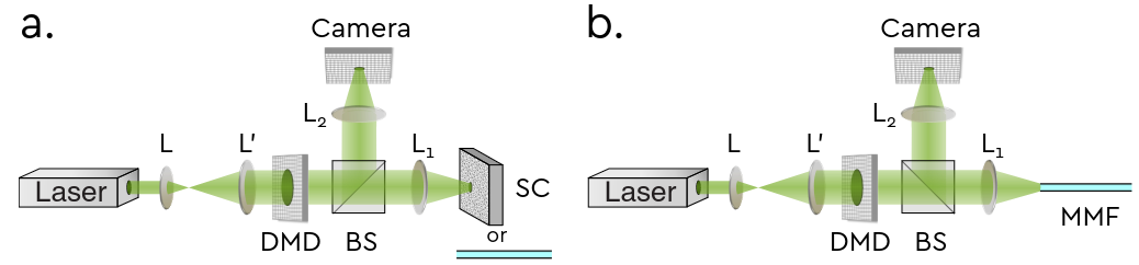 A practical guide to Digital Micro-mirror Devices (DMDs) for wavefront shaping