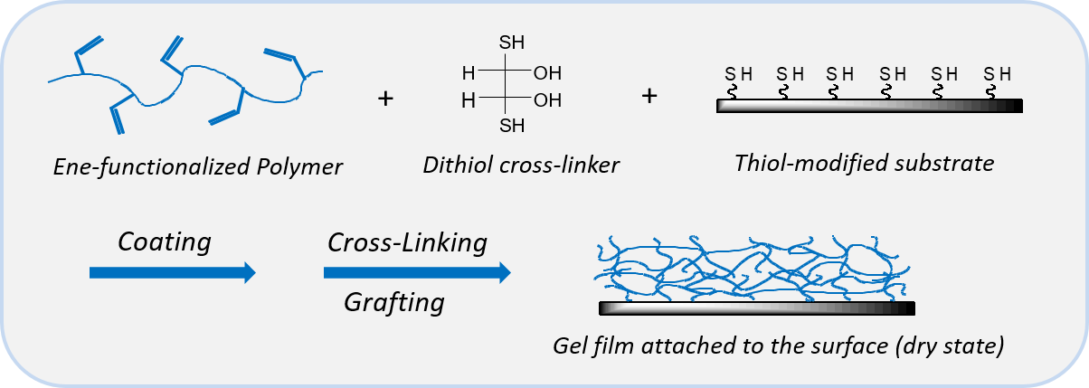 Hydrogel thin films | Yvette Tran